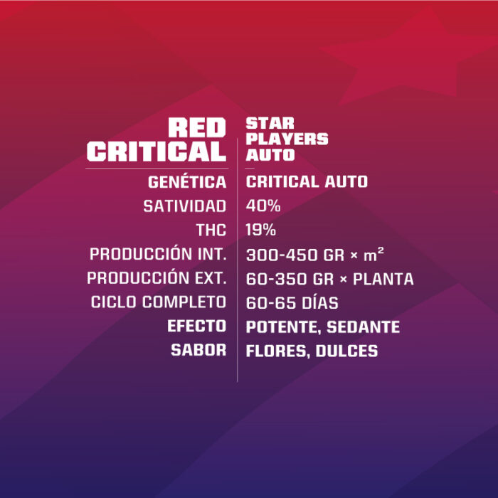 Red Critical Auto - Banco de Semillas BSF Seeds :: BIGGER STRONGER FASTER